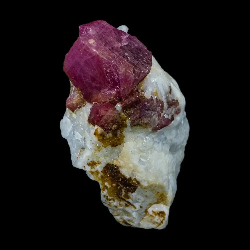 Ruby Lg – Tethys Trading Co